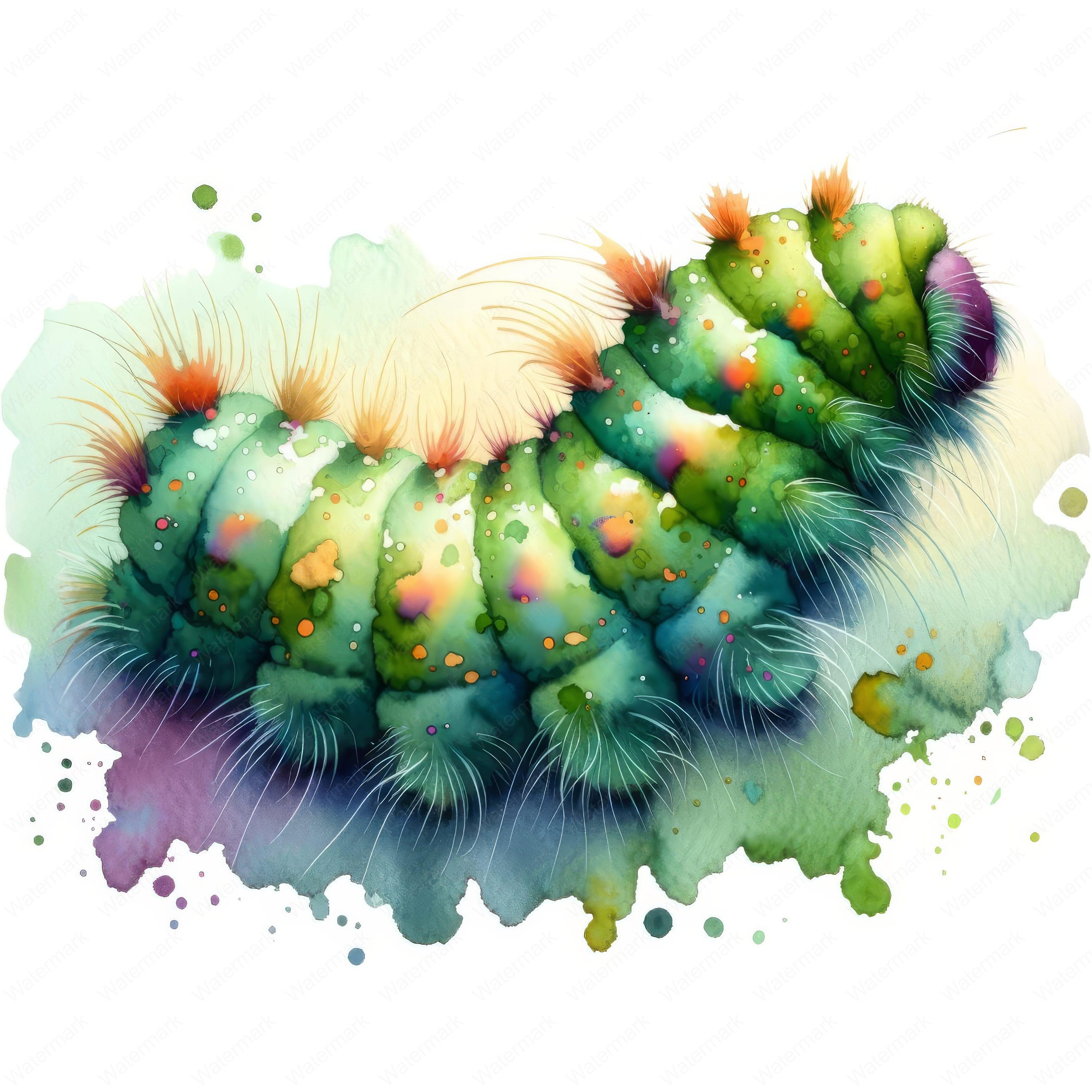 Watercolor Caterpillar Clipart Bundle: Insect Art Printables (digital ...