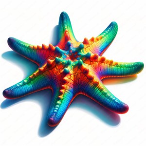 Starfish Clipart | Colorful Starfish Clipart Bundle | 10 High-quality ...