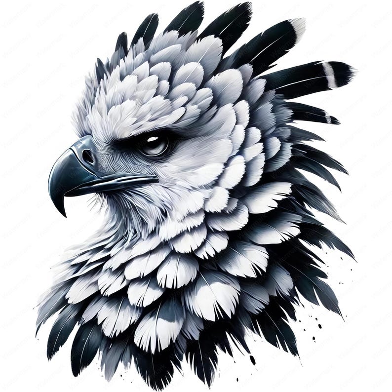 Majestic Harpy Eagle Clipart Bundle: Wildlife Art (digital Download ...