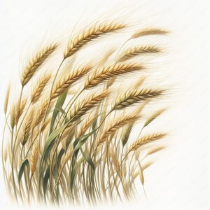 Wheat Field Clipart Clipart Bundle 10 Breathtaking Images Farm Art ...