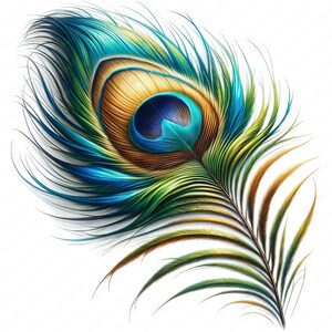 Peacock Feather Clipart | Vibrant Peacock Feather Clipart Bundle | 10 ...