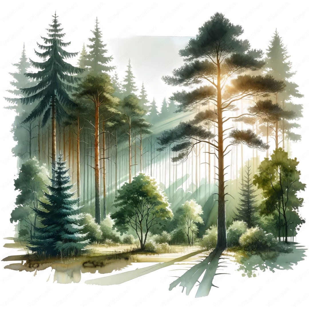 Forest Clipart Enchanting Forest Clipart Bundle 10 High-quality Images ...