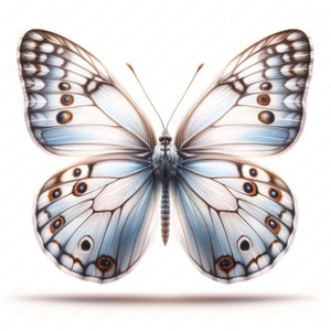 Vivid Butterfly Clipart Colorful Butterfly Clipart Bundle - Etsy