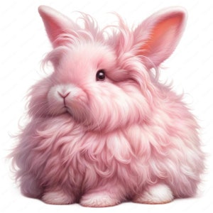 Cute Pink Bunny Clipart | Adorable Pink Bunny Clipart Bundle | 10 High ...