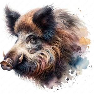 Wild Boar Clipart | Clipart Bundle | 10 High-quality Designs | Wall Art ...