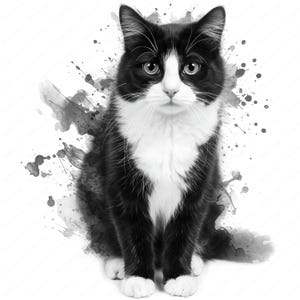 Watercolor Cat Clipart: Black & White Feline PNG Bundle (digital ...