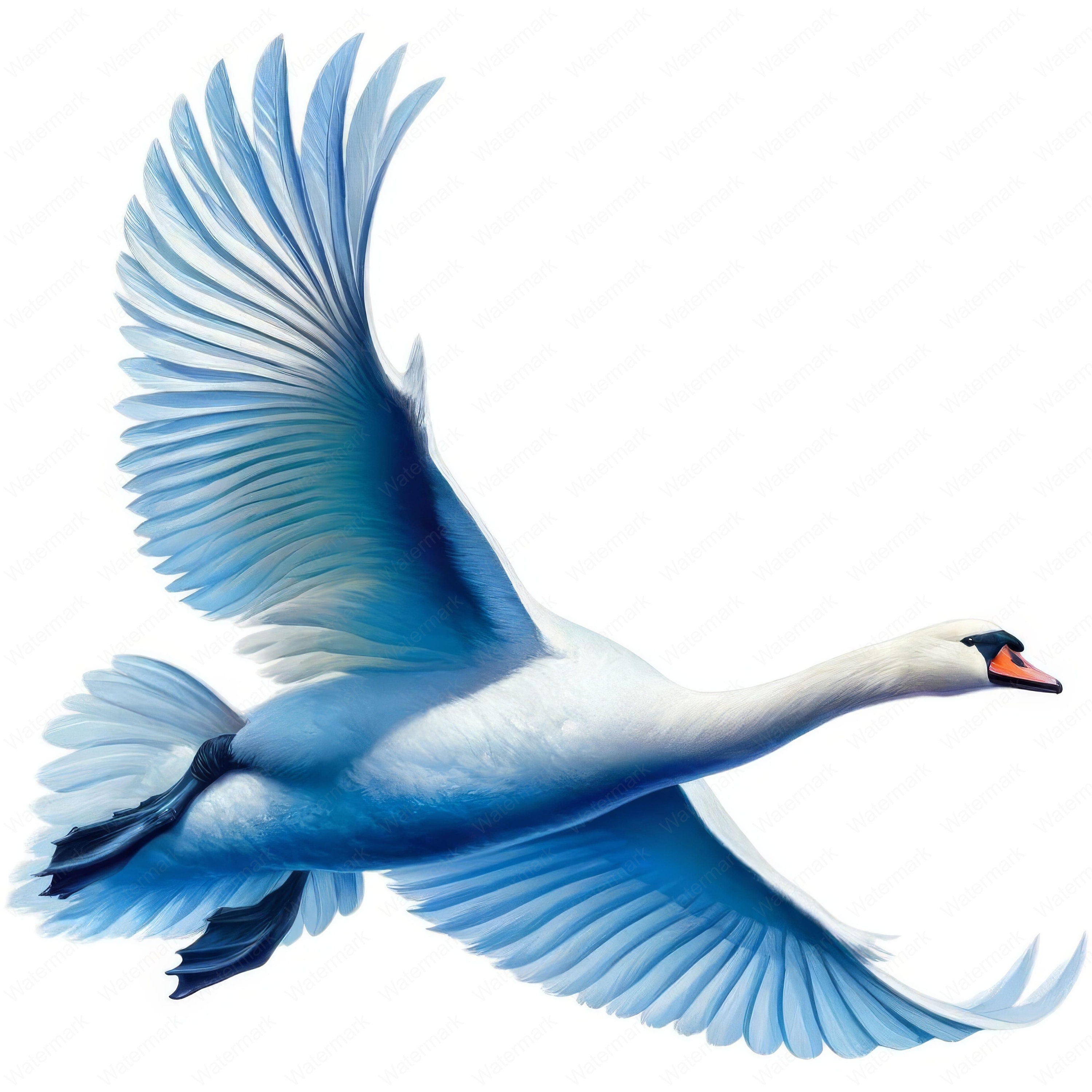 Elegant Flying Swan Clipart | Bird Art Printables (digital Download) - Etsy