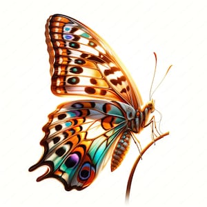 Vivid Butterfly Clipart Colorful Butterfly Clipart Bundle - Etsy