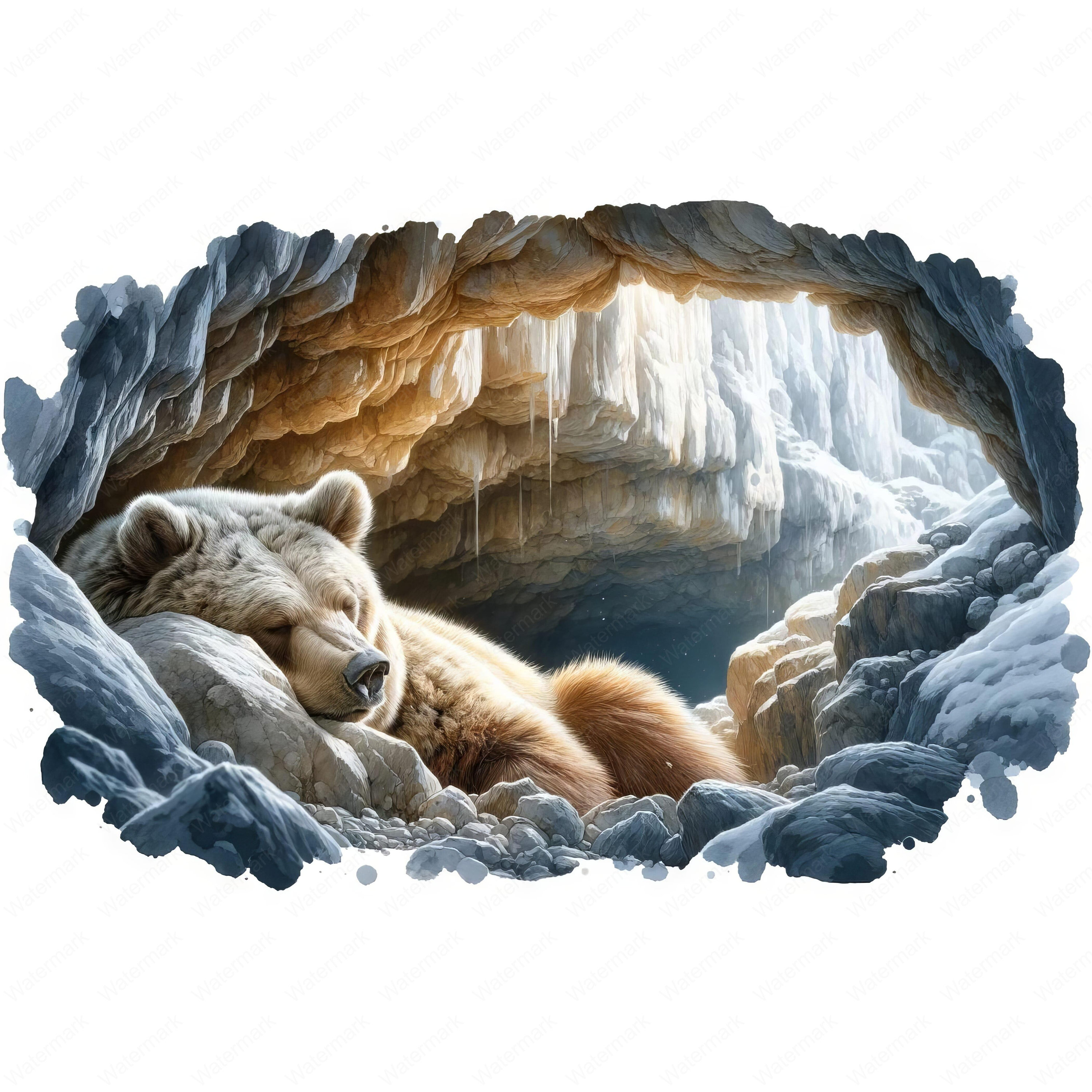 Hibernating Bear Clipart Bundle: Cozy Winter Animal Art (digital ...