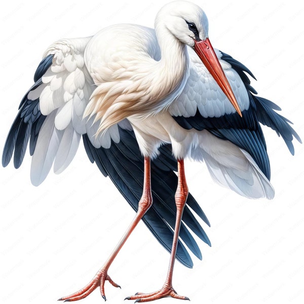 Stork Clipart - Etsy