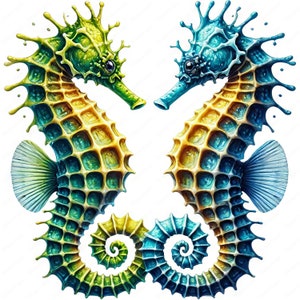 Colorful Seahorse Clipart | Colorful Seahorse Clipart Bundle | 10 High ...