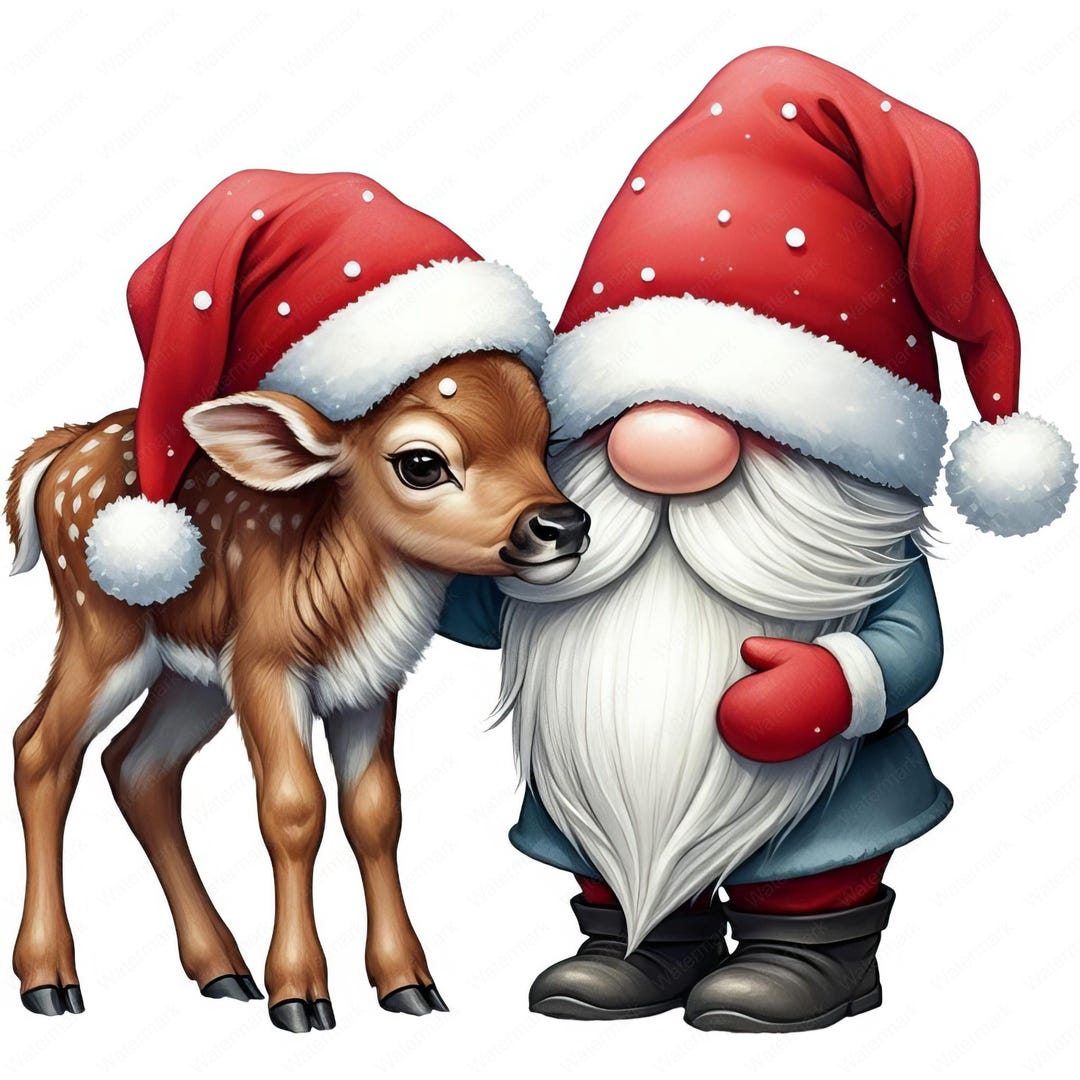 Gnome and Animal Christmas Clipart Bundle (digital Download) - Etsy