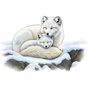 Cozy Arctic Fox Clipart Bundle: Winter Animal Art (digital Download) - Etsy