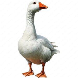 Farm Goose Clipart | Rustic Farm Goose Clipart Bundle | 10 High-quality ...