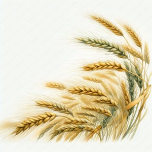 Wheat Field Clipart Clipart Bundle 10 Breathtaking Images Farm Art ...