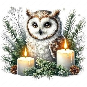 Festive Owl Clipart Festive Owl & Christmas Decor Clipart Bundle 10 ...