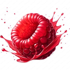 Raspberry Clipart | Vivid Realistic Raspberry Splash Clipart Bundle ...