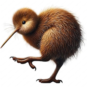 Kiwi Bird Clipart | Adorable Kiwi Bird Clipart Bundle | 10 High-quality ...