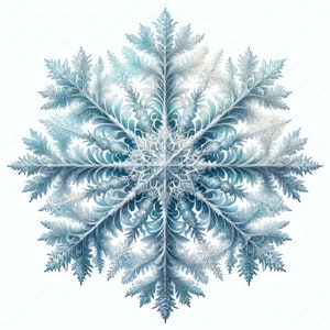 Snowflake Clipart | Whimsical Snowflake Clipart Bundle | 10 High ...