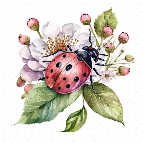 Ladybug Clip Art - Etsy