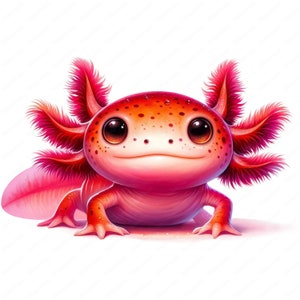 Cute Axolotl Clipart | Adorable Axolotl Clipart Bundle | 10 High ...