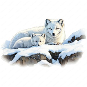 Cozy Arctic Fox Clipart Bundle: Winter Animal Art (digital Download) - Etsy