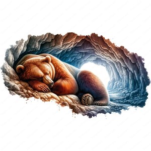 Hibernating Bear Clipart | Cozy Hibernating Bear Clipart Bundle | 10 ...