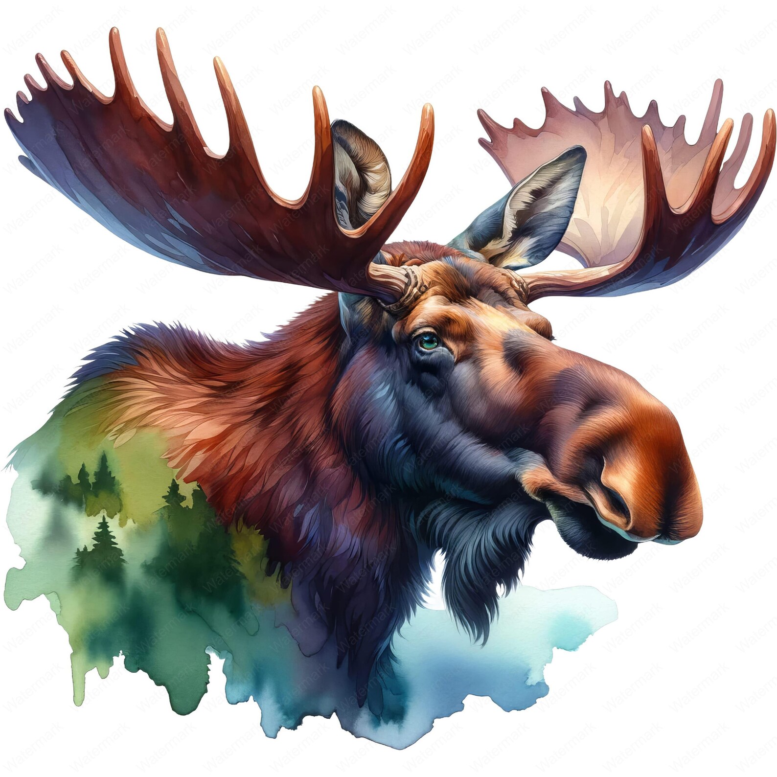 Majestic Moose Clipart Bundle | High-quality Digital Prints (commercial ...