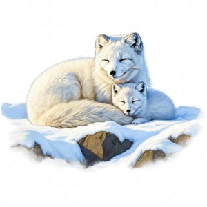 Cozy Arctic Fox Clipart Bundle: Winter Animal Art (digital Download) - Etsy