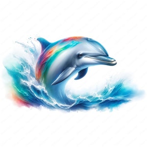 Playful Dolphin Clipart Bundle: Ocean Life Art (digital Download) - Etsy