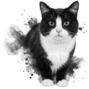 Watercolor Cat Clipart: Black & White Feline PNG Bundle (digital ...