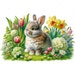 Spring Rabbit Clipart Charming Spring Rabbit Clipart Bundle 10 High ...