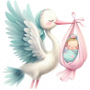 Stork Baby Girl Clipart Bundle: Newborn Art Designs (digital Download ...