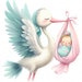 Stork Baby Girl Clipart | Charming Stork Baby Girl Clipart Bundle | 10 ...