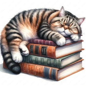 Library Cat Clipart 10 High-quality Images Bookworm Cat Illustrations ...