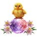 Spring Chick Clipart: Hat & Egg PNG Bundle (digital Download) - Etsy
