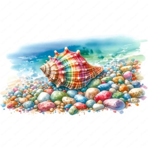 Colorful Seashell Clipart: Beach Art Printables (digital Download) - Etsy