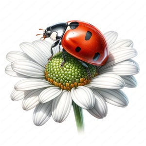 Ladybug Clipart | Charming Ladybug and Flower Clipart Bundle | 10 High ...