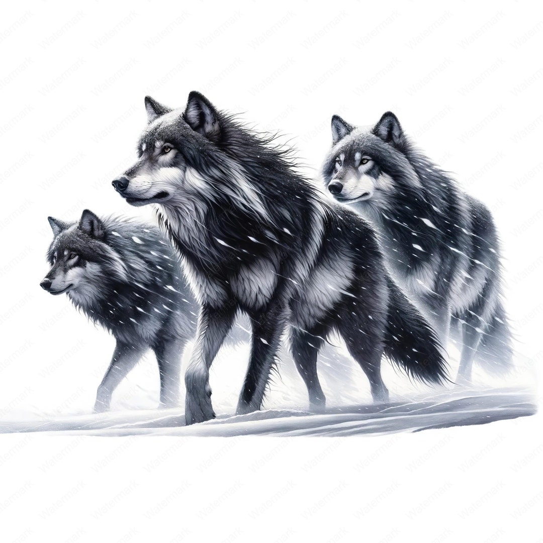 Wolf Pack Clipart Dynamic Wolf Pack Clipart Bundle 01 10 High-quality ...