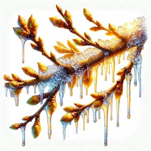Icicles on Branch Clipart Icicle Clipart Bundle 10 High-quality Images ...