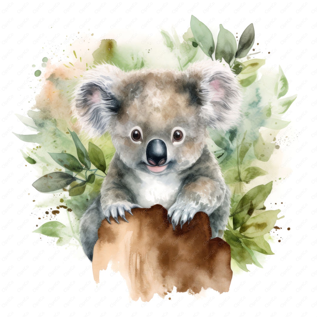 Koala Australiana Clipart 10 High-quality Images Wall Art - Etsy Australia