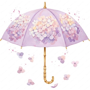 Floral Umbrella Clipart: Watercolor Flower PNG Bundle (digital Download ...