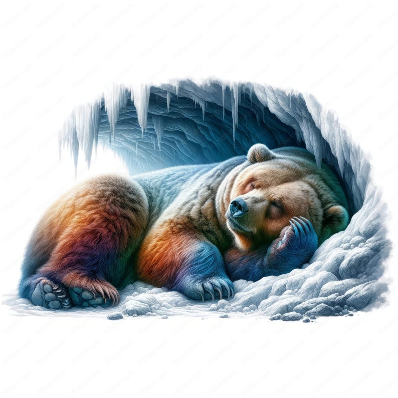 Hibernating Bear Clipart Bundle: Cozy Winter Animal Art (digital ...