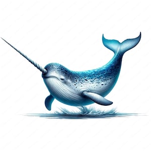 Narwhal Clipart | Charming Narwhal Clipart Bundle | 10 High-quality ...