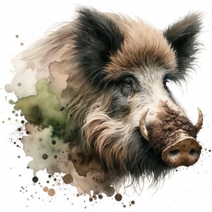Wild Boar Clipart | Clipart Bundle | 10 High-quality Designs | Wall Art ...