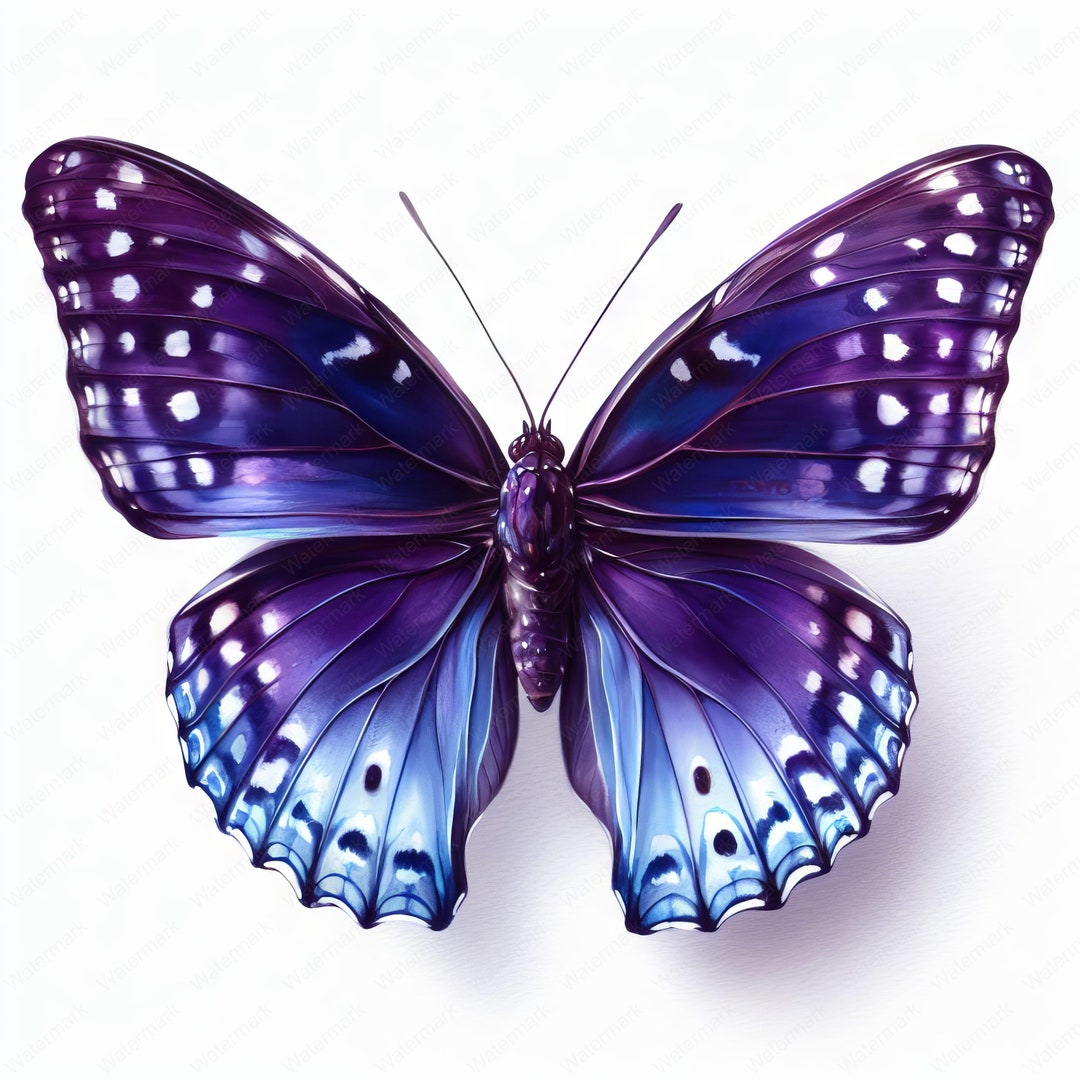 Purple Emperor Clipart Clipart Bundle 10 Majestic Images Butterfly Art ...
