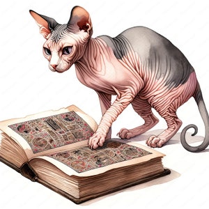 Library Cat Clipart 10 High-quality Images Bookworm Cat Illustrations ...