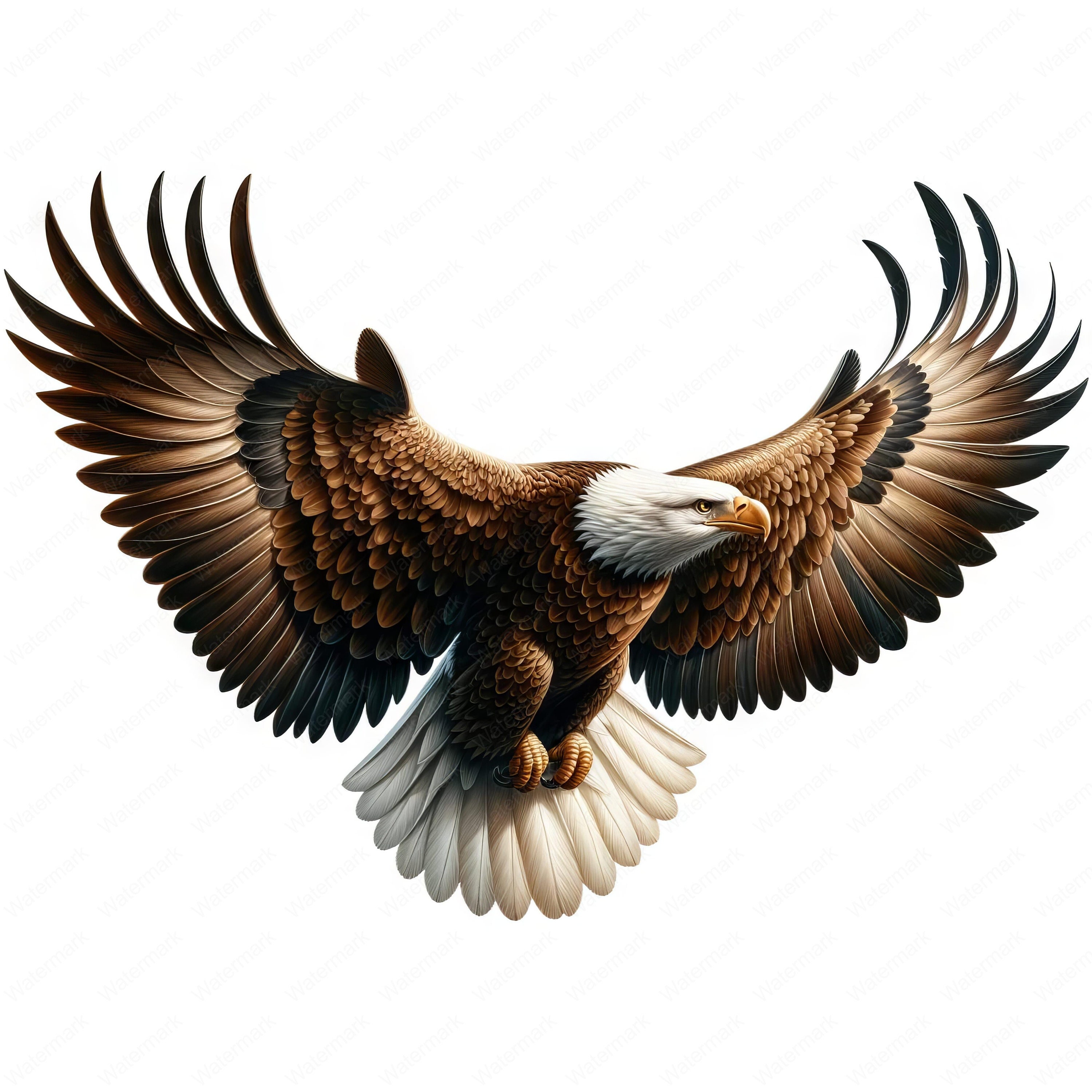 Bald Eagle Clipart Bundle | Majestic Flying Bird of Prey (digital ...