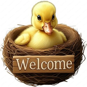 Baby Animal Welcome Sign Clipart: Nursery Decor (digital Download) - Etsy
