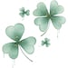 Shamrock Clipart | Shamrock PNG Bundle | Clover Watercolor Designs ...